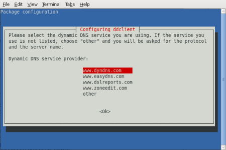 DynDNS Client Setup on Ubuntu – Life in apps, OSs and code!